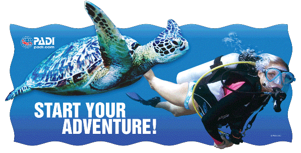 PADI Scuba Diver Course, Australia | Activities in Australia