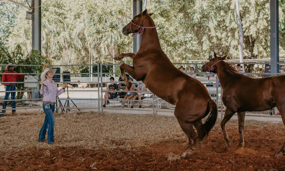 One and a Half Hour Outback Show Experience, Australia | Activities in ...