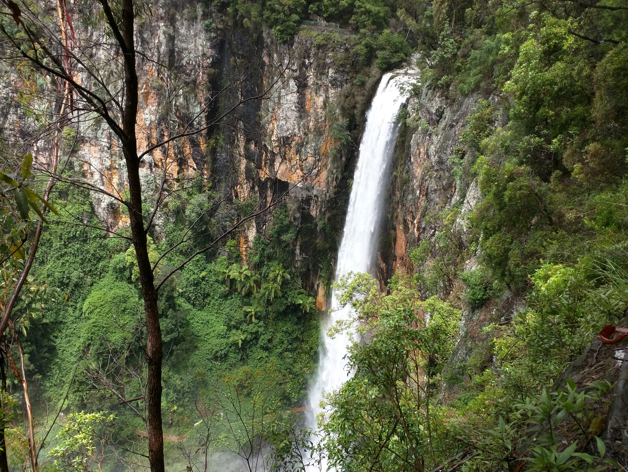 Natural Bridge & Springbrook Waterfalls Tour, Australia | Activities in ...