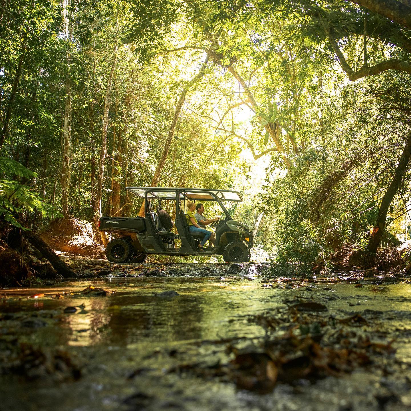 2 hour rainforest Buggy Tour, Australia | Activities in Australia