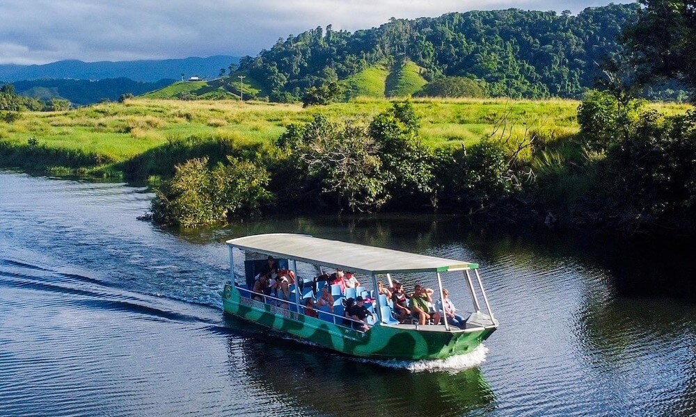 Daintree Rainforest Tour with Ziplining Adventure, Australia ...