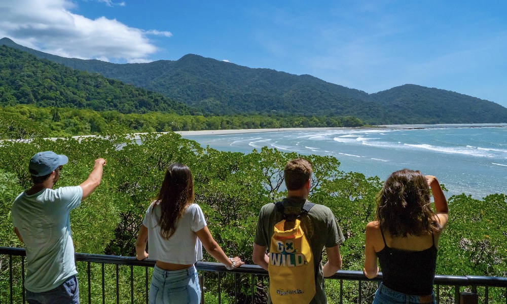 Daintree Rainforest Tour with Ziplining Adventure, Australia ...