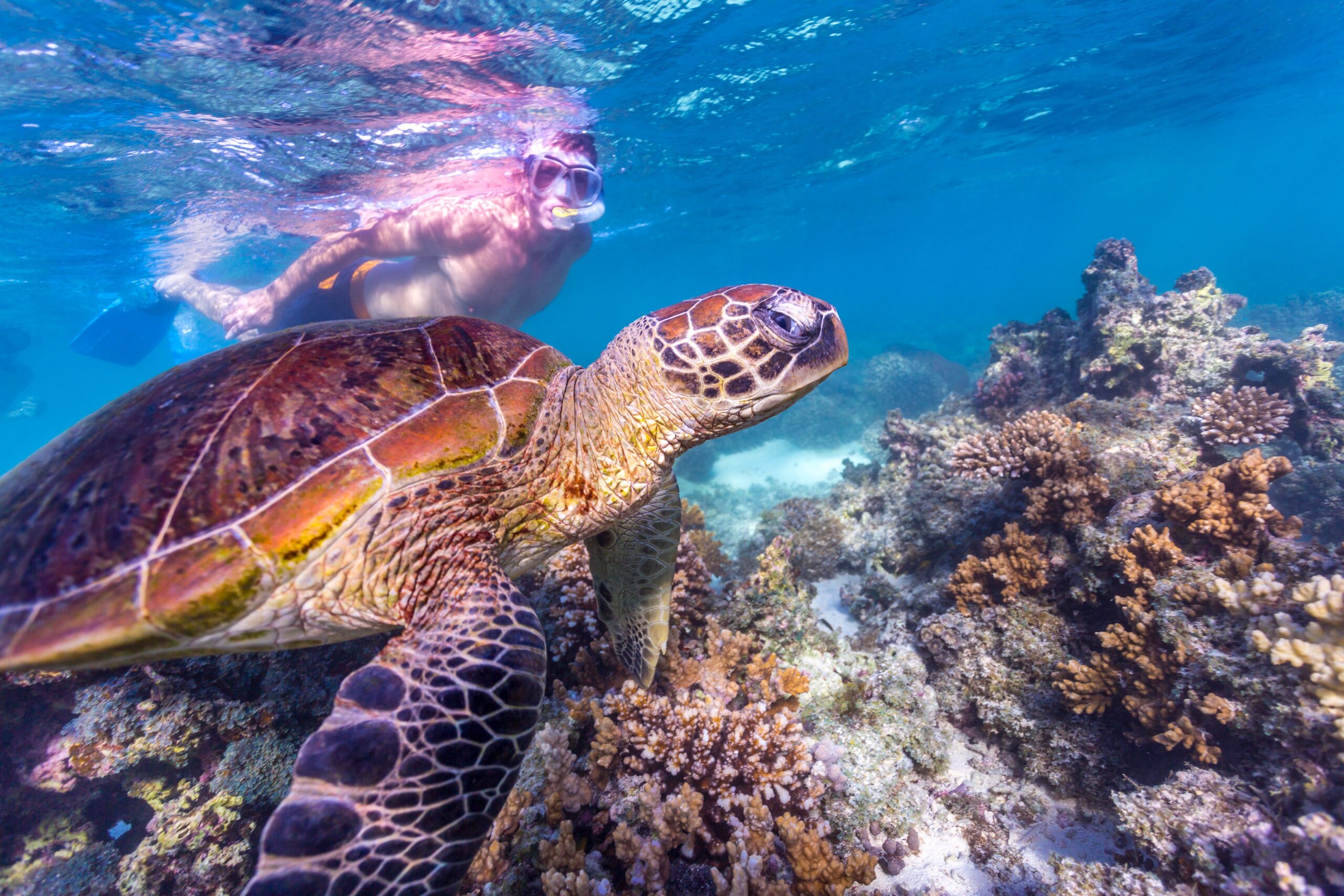 Autopia Tours: Perth to Exmouth Explorer 7 Day (Shared Accommodation ...