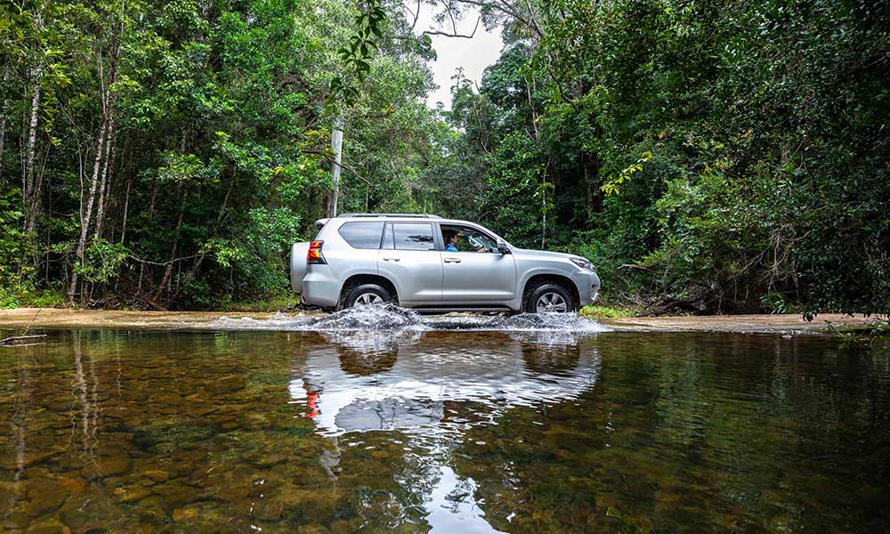 Half Day 4WD Daintree Rainforest Tour, Australia | Activities in Australia