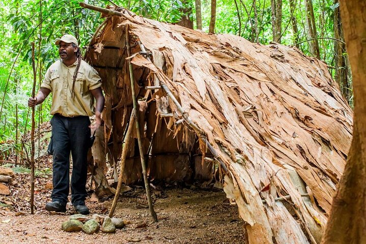 Daintree Rainforest, Mossman Gorge and Aboriginal Beach Day Tour ...